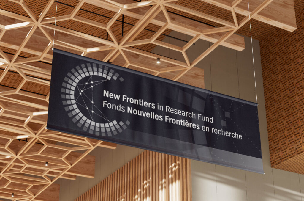 The New Frontiers in Research Fund: peer reviewers’ perspectives ...
